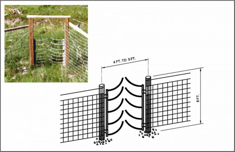 Animal Control - Munckhof