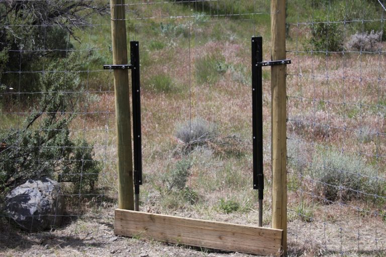 Animal Control -Update- - Munckhof